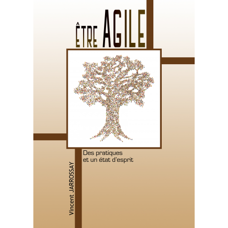 Etre Agile - Vincent JARROSSAY