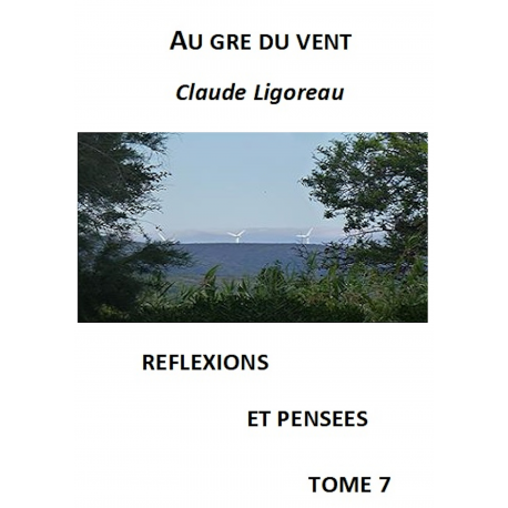 Au gré du vent Tome 7 - LIGOREAU