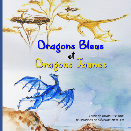 DRAGONS BLEUS ET DRAGONS JAUNES - Bruno Rivoire