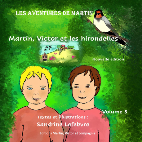 Martin, Victor et les hirondelles - Sandrine Valasek