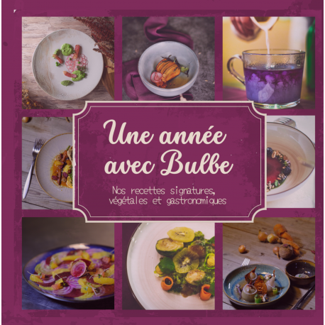 Une année avec Bulbe - William PERSYN
