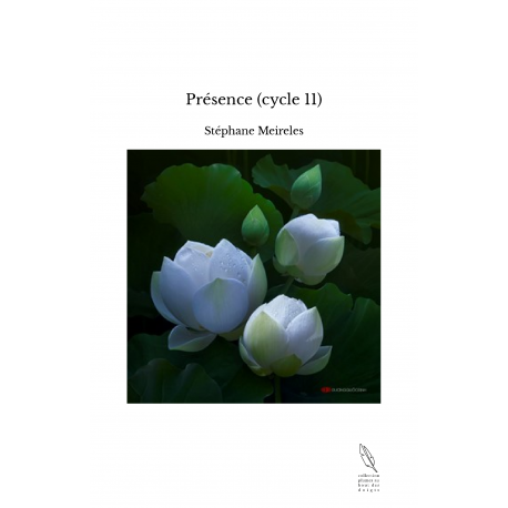 Présence (cycle 11) - Stéphane Meireles