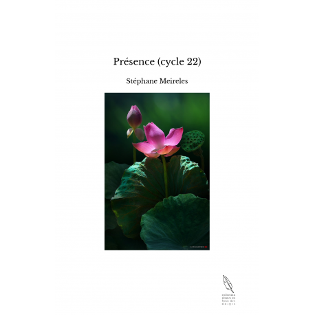 Présence (cycle 22) - Stéphane Meireles