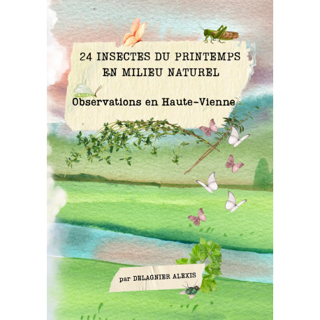 24 Insectes du Printemps - Alexis DELAGNIER