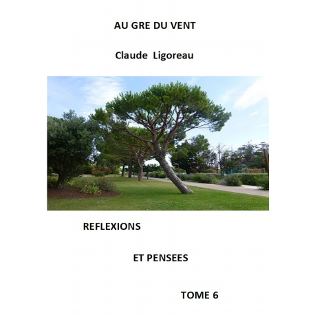 Au gré du vent Tome 6 - LIGOREAU